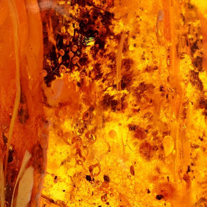 7 Spiritual Amber Properties for the Self-Loving Woman | Roma Designer ...