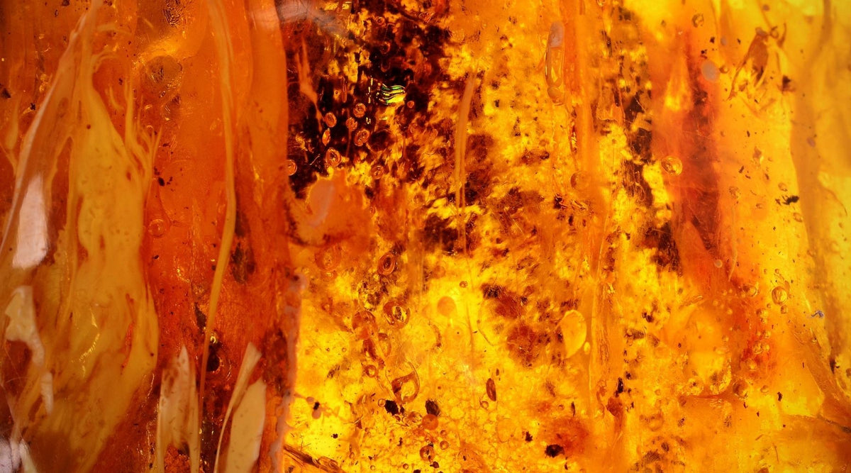 7 Spiritual Amber Properties for the Self-Loving Woman | Roma Designer ...