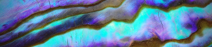 Abalone Collection–Tagged "Pendants" | Roma Designer Jewelry